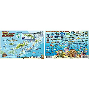 British Virgin Islands Dive Map & Coral Reef Creatures Guide Franko Maps BVI Laminated Fish Card
