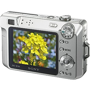 Sony Cybershot DSC-W100 8.1MP Digital Camera with 3x Optical Zoom