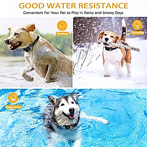 HEXIEDEN Wireless Dog Fence,Pet Containment System,Electric Dog Training Collar with Remote Dog Boundary System,Reflective Stripe,Waterproof,Adjustable Range,Harmless,for 1 2 3 Dogs,for3dogs