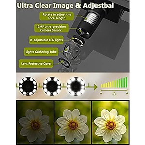 4.3 Inch Digital Microscope, Carenart Coin Microscope with 32GB TF Card 50X-1000X Magnification with 8 Adjustable LED Lights for Adults Kids Outside and Home Use