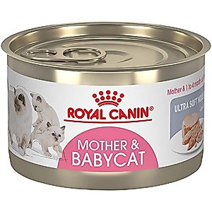 Royal Canin Feline Health Nutrition Mother & Babycat Ultra Soft Mousse in Sauce Canned Cat Food, 5.1 oz Can (Pack of 24)