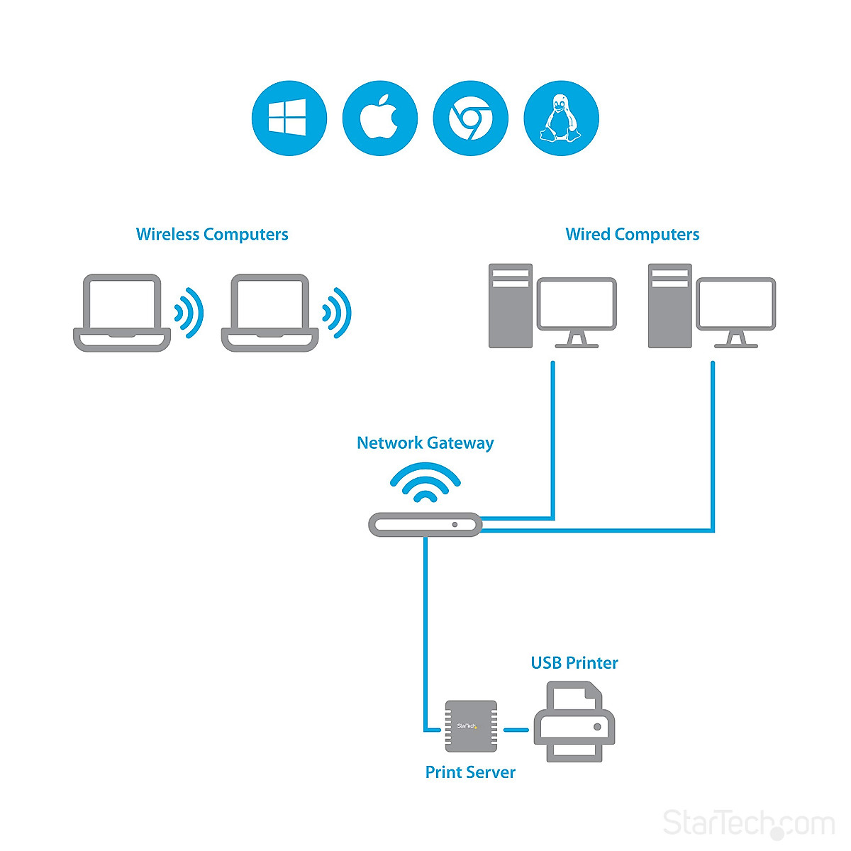 StarTech.com 10/100Mbps Ethernet to USB 2.0 Network Print Server - Windows 10 - LPR - LAN USB Print Server Adapter (PM1115U2)