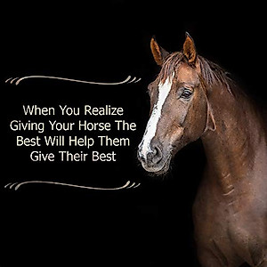 Animal Health Solutions - Electro-Probiotic Paste, Quick and Easy Source of Electrolytes and Probiotics for Stressed Horses (30 Grams)