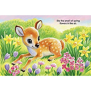 I Love You More - Children's Padded Board Book