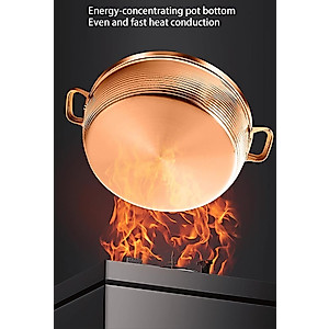 304 Stainless Steel Moroccan Tagine Pot,Non Stick Tagine Stainless Steel Tower Stew Dry Pot Non-stick Slow Cooker Seafood High Lid Pan Electromagnetic Cooker Moroccan Tajine Casserole,Gold,26cm