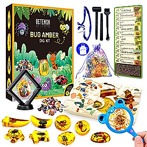 Amber Dig Kit Includes Excavate 12Pcs Insect Ambers and Many Crystal Stones As Fun Geology Science STEM Educational Bugs Toys for Science Educational (Bugs)