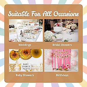 Confettiville Party Paper Plates, 50-Pack, Disposable Paper Plates, Gold Foil Scalloped Edge, Striped Pastel, 6 Colors, 9-Inch