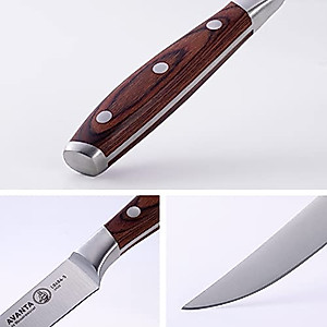 Messermeister Avanta 5” Fine Edge Steak Knife Set - German X50 Stainless Steel - Rust Resistant & Easy to Maintain - Includes 4 Steak Knives