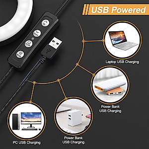 Ring Light for Laptop Computer, Ruyilam Video Conference Lighting Kit with Clip and Tripod, Desktop PC Selfie Dimmable Light with Stand Ring Light for Live Streaming, Video Recording, Makeup