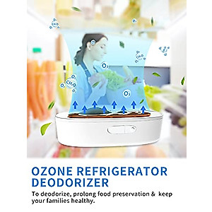 Zerosky Ozone Refrigerator Deodorizer, 20mg/H O3 Air Purifier Deodorizer, Natural Car, Shoe Deodorizer, Odor Eliminators For Home, Closet, Pet Home, Washing Machine, white