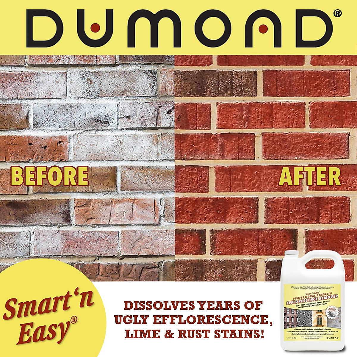Smart 'n Easy Efflorescence Remover - Heavy Duty Professional Strength Formula - Removes The Toughest Salt, Calcium, and Magnesium Deposits from Concrete, Brick, Stucco, Pavers, & More - 1 Gallon