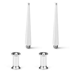 Ruifan Unisex Pair 2 in 1 Stainless Steel Screw Fit Interchangeable Taper Plug Piercing Ear Tunnel Stretcher Expander 6G(4mm) Gauge