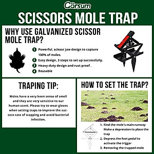 Garsum EasySet Mole Trap, Black Scissor Trap for Lawns, Reusable Quick and Clean Kill Vole Trap, 1 Set