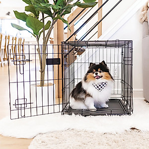 Carlson Pet Products SECURE AND FOLDABLE Single Door Metal Dog Crate, Small, 24.0"L x 18.0"W x 19.0"H