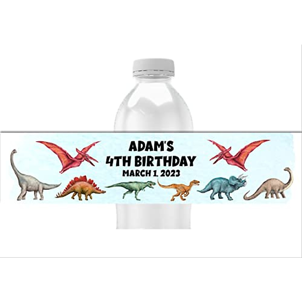 Dinosaur Party Favors for Boys Birthday, Personalized Water Bottle Labels, Pack of 25 Peel and Stick Waterproof Wrappers