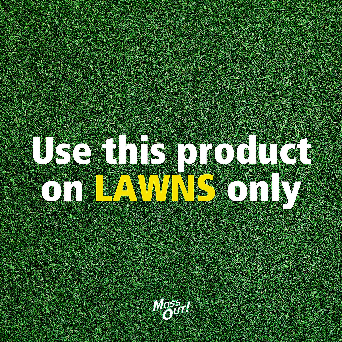 CENTRAL GARDEN BRANDS Lilly Miller Moss Out for Lawns Ready to Spray 32oz, 1-(Pack)
