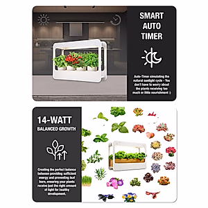 TORCHSTAR LED Indoor Herb Garden, CRI 95+, Herb Grower Light with Timer, Indoor Gardening System, Full Spectrum Light, 24V Garden Kit for Plant Grow Novice, White, 4000K, Pots & Plants Not Included