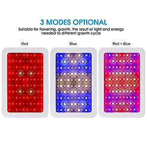 Giixer 1000W LED Grow Light, Dual Switch & Dual Chips Full Spectrum LED Grow Light Hydroponic Indoor Plants Veg and Flower-1000 watt (10W LEDs 100Pcs)