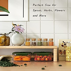 Danmu 50ml Mini Glass Bottles, Mini Bottles, Jars with Wood Cork Stoppers, Wish Bottles, Message Bottles for Wedding Favors, Baby Shower Favors, DIY Craft 6 Pack