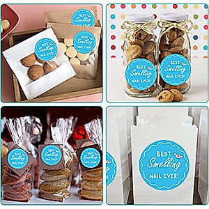 Best Smelling Mail Ever Sticker 1.5 Inch Happy Mail Envelope Labels - Decorative Sealing Labels 500Pcs Happy Mail Stickers for Christmas Gifts,Small Business,Package,Boutique Shipping Supplies