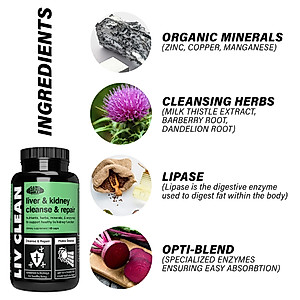 Gains in Bulk LIV Clean Liver and Kidney Cleanse & Repair | Supports Healthy Liver/Kidney Function | Fat and Toxin Reducing Beet Fiber Supplement | 60 Vegetarian Capsules