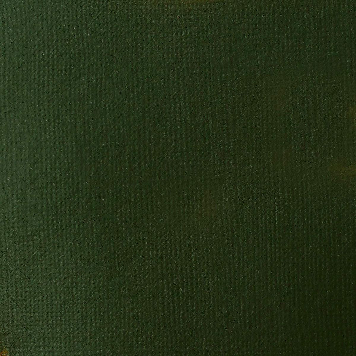 Liquitex BASICS Acrylic Paint, 946ml (32-oz) Jar, Hooker’s Green Hue Permanent