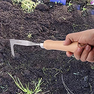 QWLWBU Crack Weeder,Crevice Weeding Tool,Manual Weeder,Stainless Steel Crevice Weeding Tool,L-Shape Blade,Beige Handle for Garden,Yard and Driveway(Size:12.6inch)