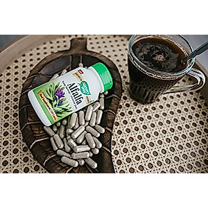 Nature's Way Alfalfa Leaves -- 100 Capsules