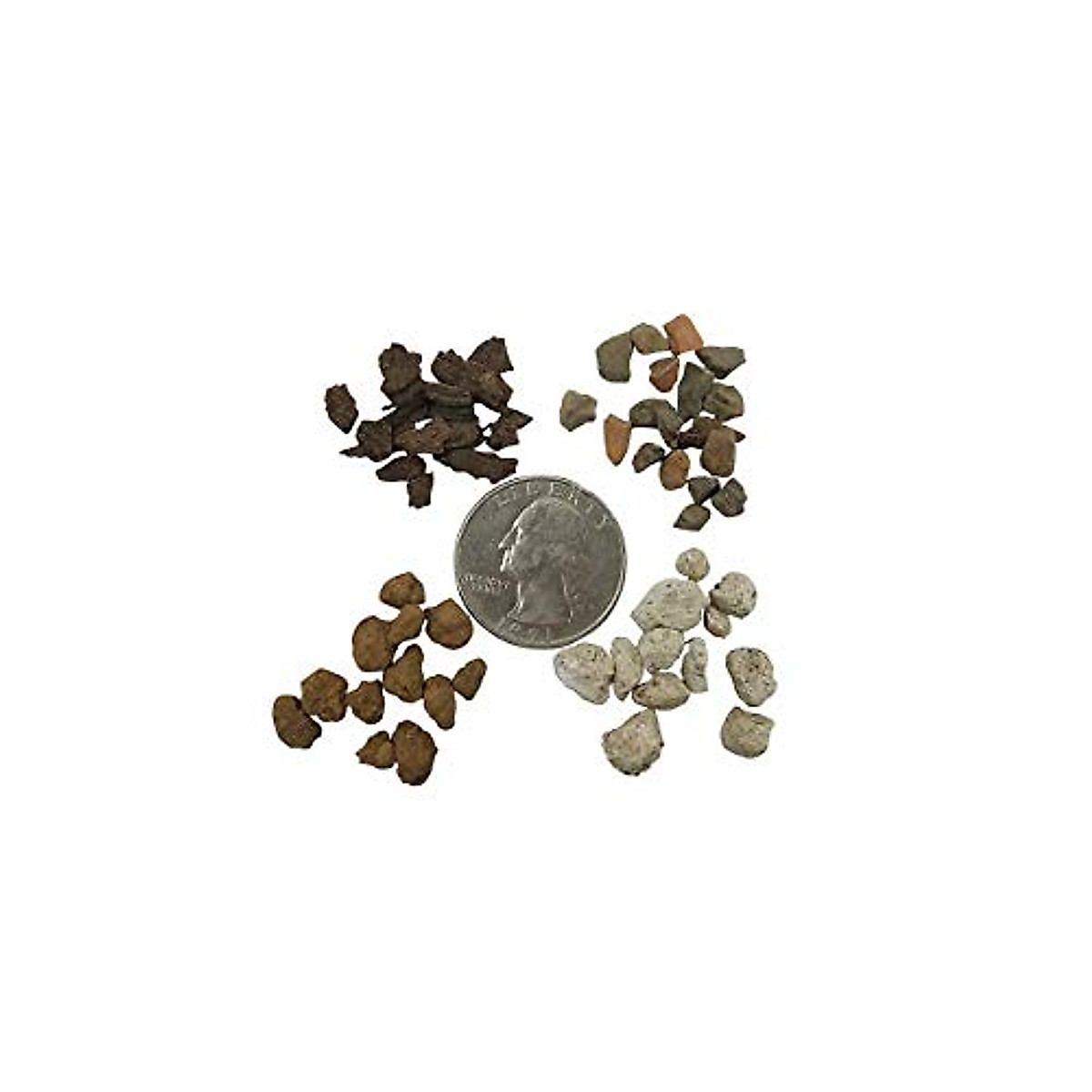 Succulent & Cactus Soil Mix - Premium Pre-Mixed Fast Draining Blend (2.5 Dry Quarts)