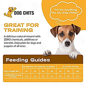 Dog Chits Lamb Ears Dog and Puppy Treats - All Natural Grain and Chemical Free Training Chews - High Protein and Low Fat - Supports Dental Health - Made in The USA - 25 Pack