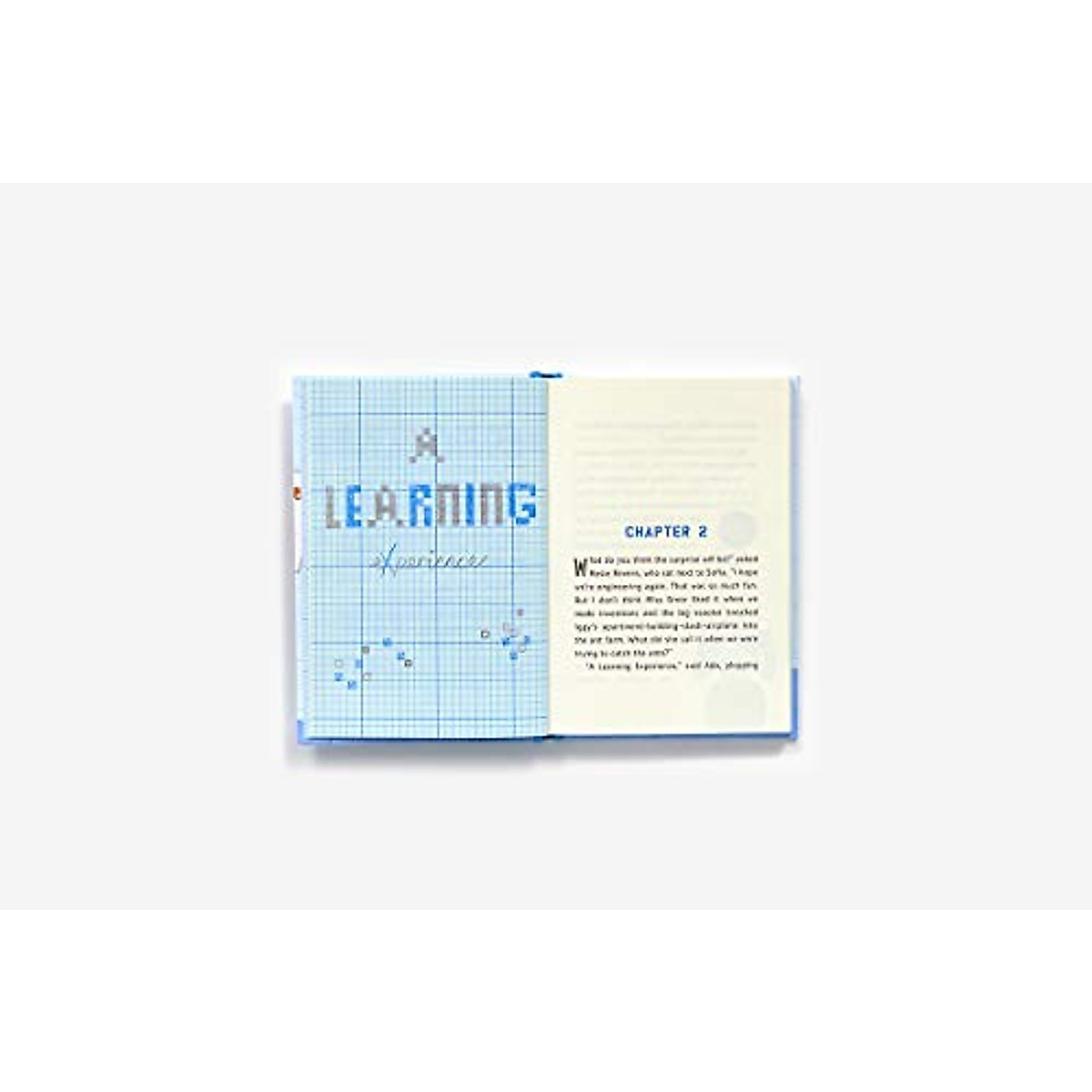 Sofia Valdez and the Vanishing Vote: The Questioneers Book #4