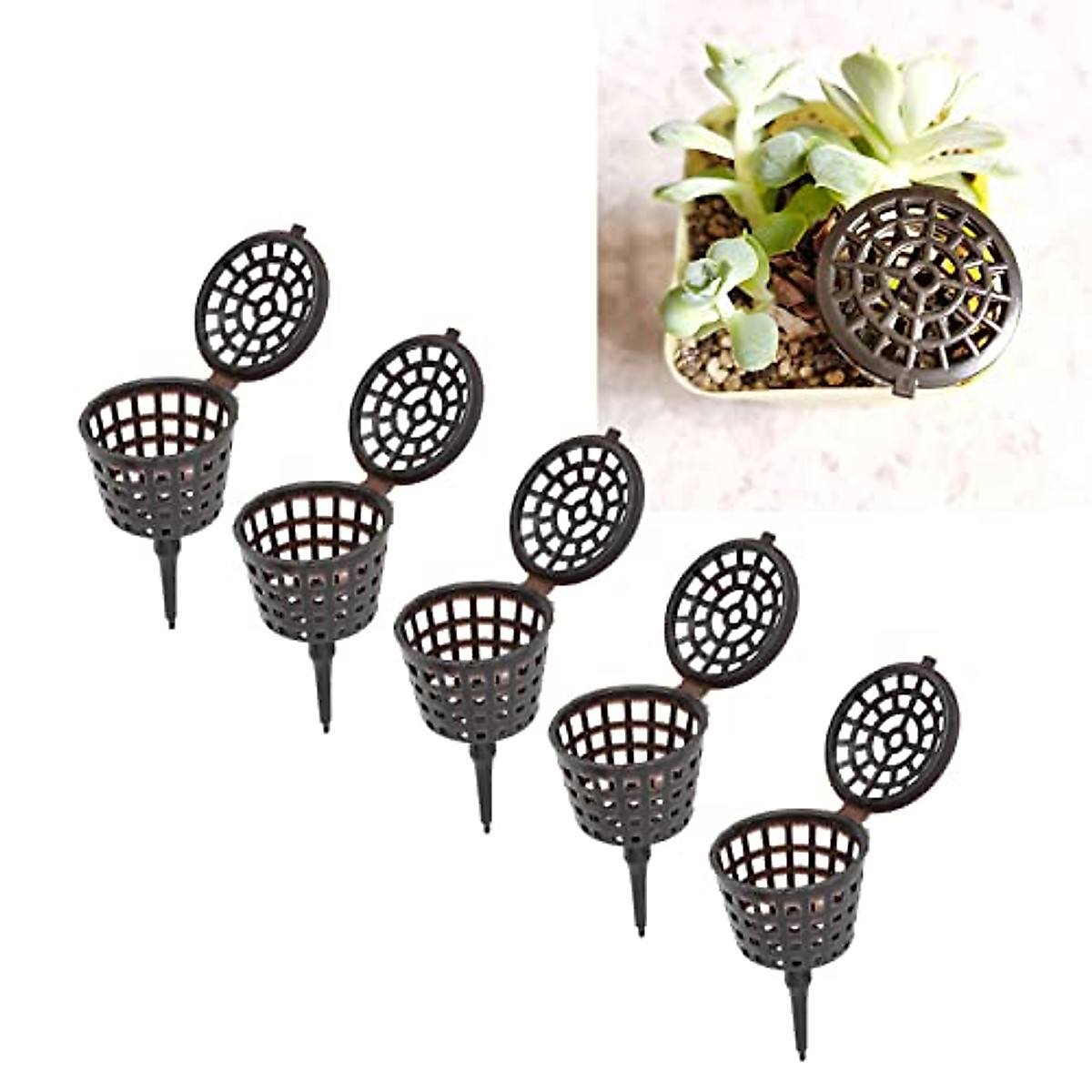 50Pcs Bonsai Fertilizer Box Plastic Fertilizer Mesh Basket with Lid Planting Fertilizer Basket for Succulent Orchid Bonsai Plant Tool