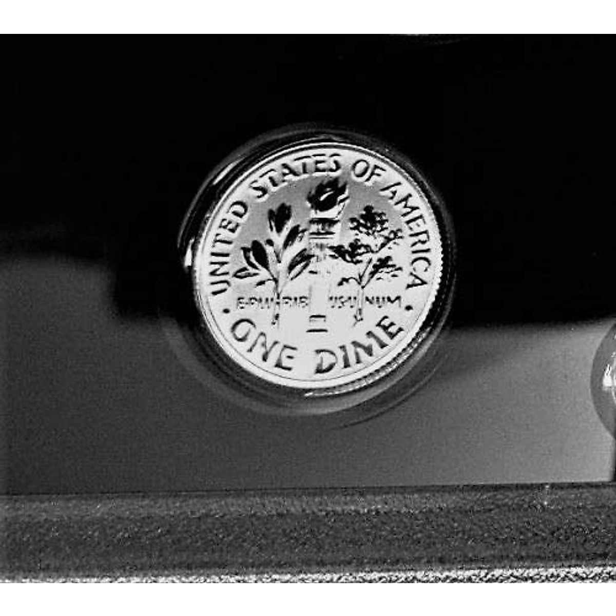 2018 S Roosevelt Dime 2018 S Silver Reverse Proof Roosevelt Dime Rare only 200000 Minted Dime Gem US Mint DCAM