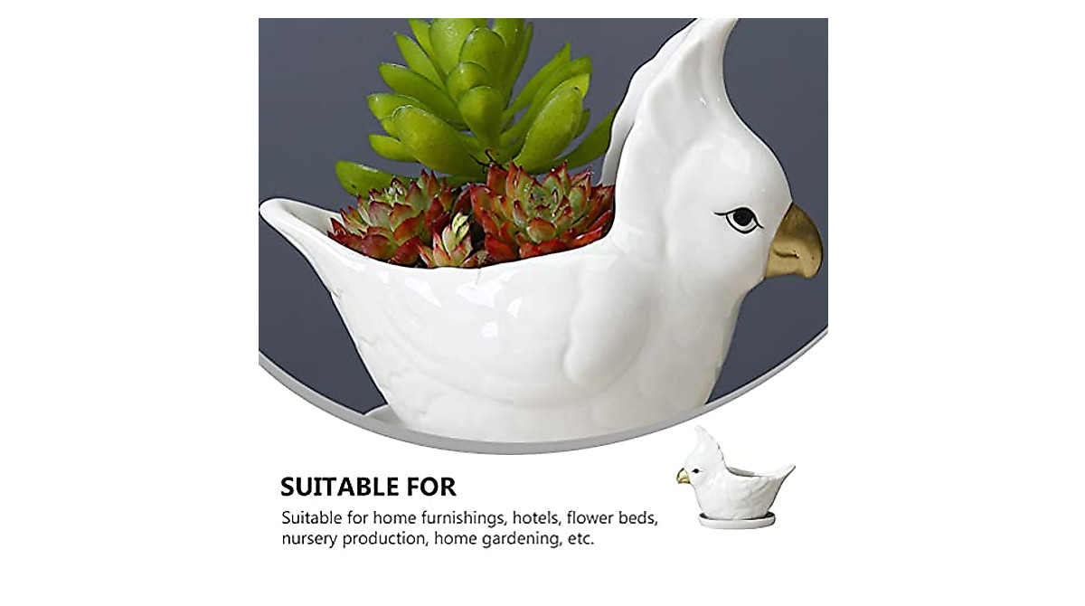 Homoyoyo Parrot Ceramic Planter Pot for Succulents and Bonsai