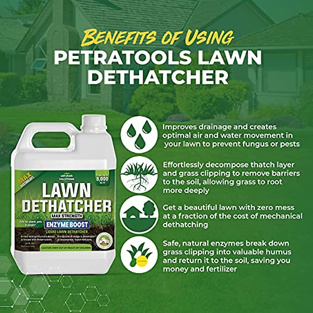 PetraTools Liquid Dethatcher (32oz) and Liquid 16-4-8 Lawn Fertilizer (32 oz)