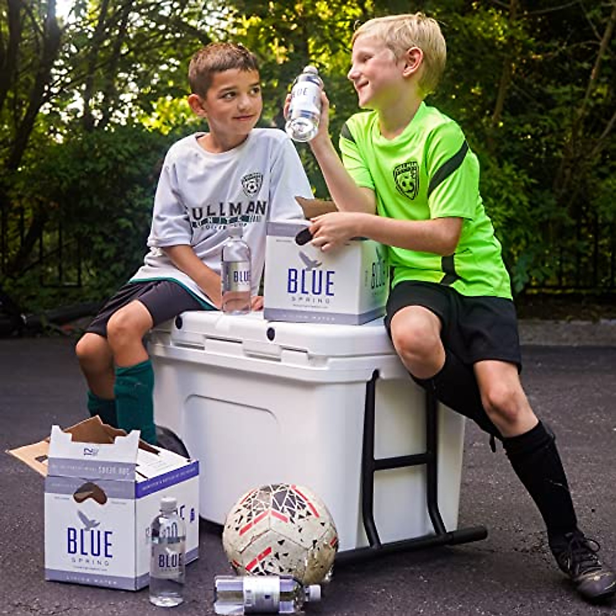 Blue Spring Living Water, Pure Premium Natural Spring Water, pH balance of 7.1-7.2, Bottled Spring Water, 16.9 Fl Oz, (Pack of 12)