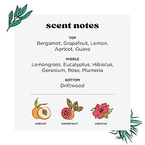 Poo-Pourri Before-You-Go Toilet Spray, Tropical Hibiscus, Refill Bottle 16 Fl Oz - Hibiscus, Apricot and Citrus