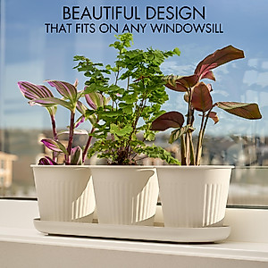 KIBAGA Beautiful Herb Garden Planter Indoor Set of 3 - Perfect for Any Kitchen Window Sill or Countertop - A Modern Decor Gardening Planter Kit Incl. Tray & Drainage Holes to Grow Fresh Herbs at Home