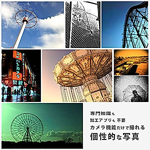 BONZART ZIEGEL (Rose)