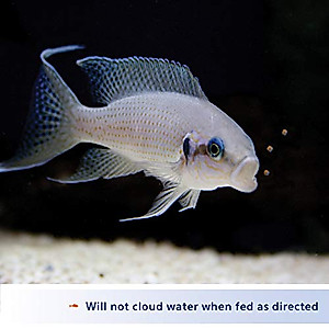 Aqueon Cichlid Food Color Enhancing 4.5 Ounces Color