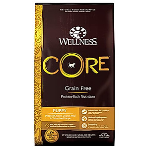 Wellness CORE Natural Grain Free Dry Dog Food, Puppy, 26-Pound Bag