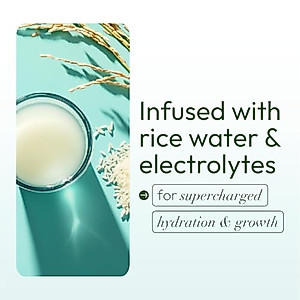 ORS Olive Oil Max Moisture Leave-In Conditioner with Rice Water and Electrolytes for Supercharged Hair Hydration 16.0 Ounce (1)