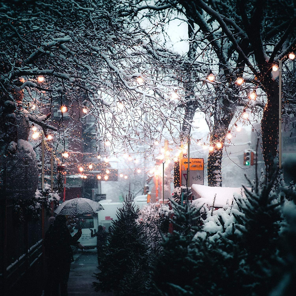 Harrms String Light Poles for Outdoors,10FT Stainless Steel Strong Wind Resistant, LED Solar Hanging String Lights Used for Patio, Courtyard, Garden, Wedding Cafe Party Light Pole Hanger