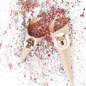 Animal Stickers 1'' Circle Labels Letters 500 Per Pack New Roll Handicraft Decoration Reward Sealing Cats Dogs Sticker Envelope Encourage Children's Gift (Animal)