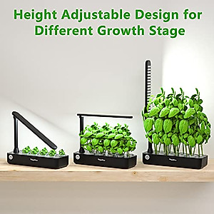VegeBox Hydroponics Growing System - Support Indoor Grow, Herb Garden kit Indoor, Grow Smart for Plant, Built Your Indoor Garden (Small-Black)