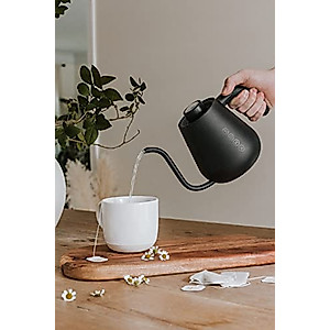 Soma Stainless Steel Gooseneck Coffee & Tea Kettle, Black, 1 Liter, Stovetop