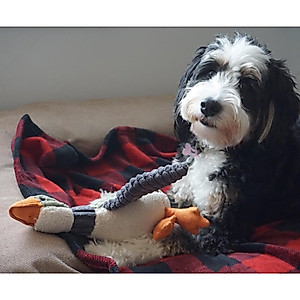 Tall Tails Classic Plush Squeaker Toy for Dogs, Duck