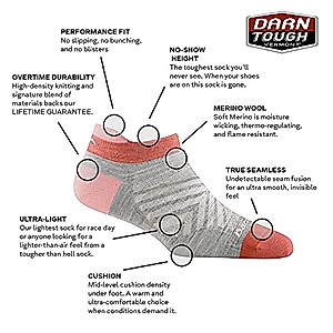 Darn Tough Women's Run No Show Tab Ultra-Lightweight Running Sock (Style 1047) - Ash, Medium
