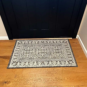 Pilgrim Home and Hearth 19653-1 Area Rugs, 46" x 28", Beautiful