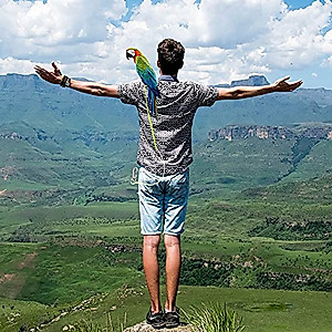 Parrot Bird Harness Leash Anti-bite Outdoor Flying Training Rope with 5pcs Different Sizes of Soft Foot Loops and Training Whistle(Upgraded Version of Ankle Ring)